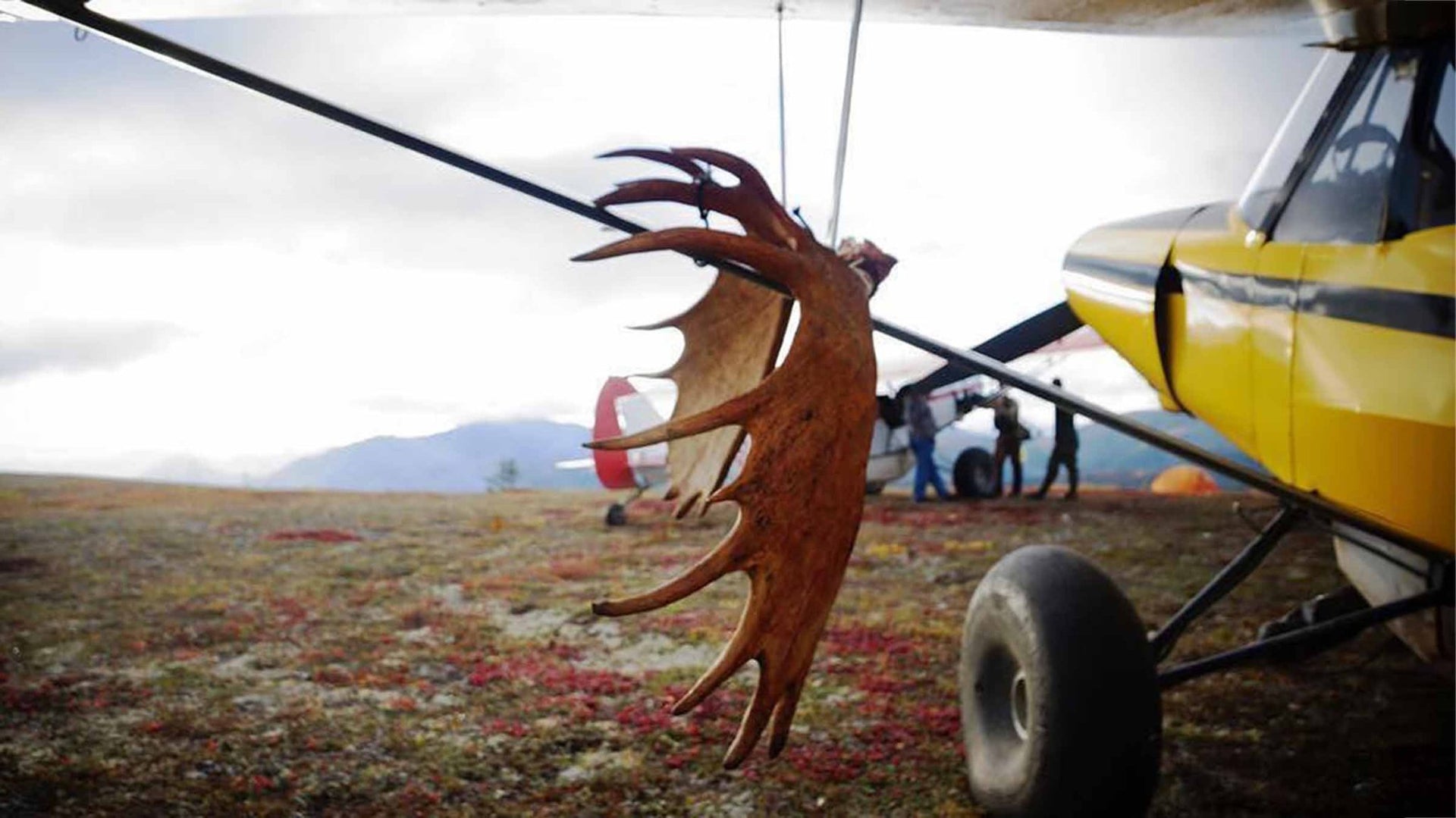 Siglin Pulk – Alaska Gear Company